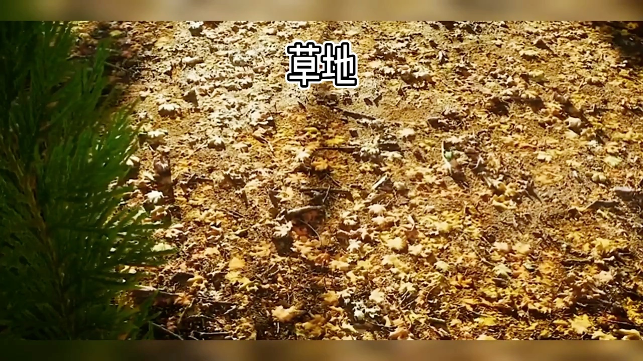 【附下载】【别人的世界系列】我的世界极致画质,2048X材质包体验
