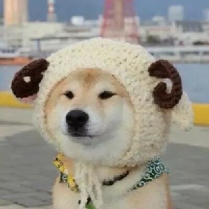 于心i00 