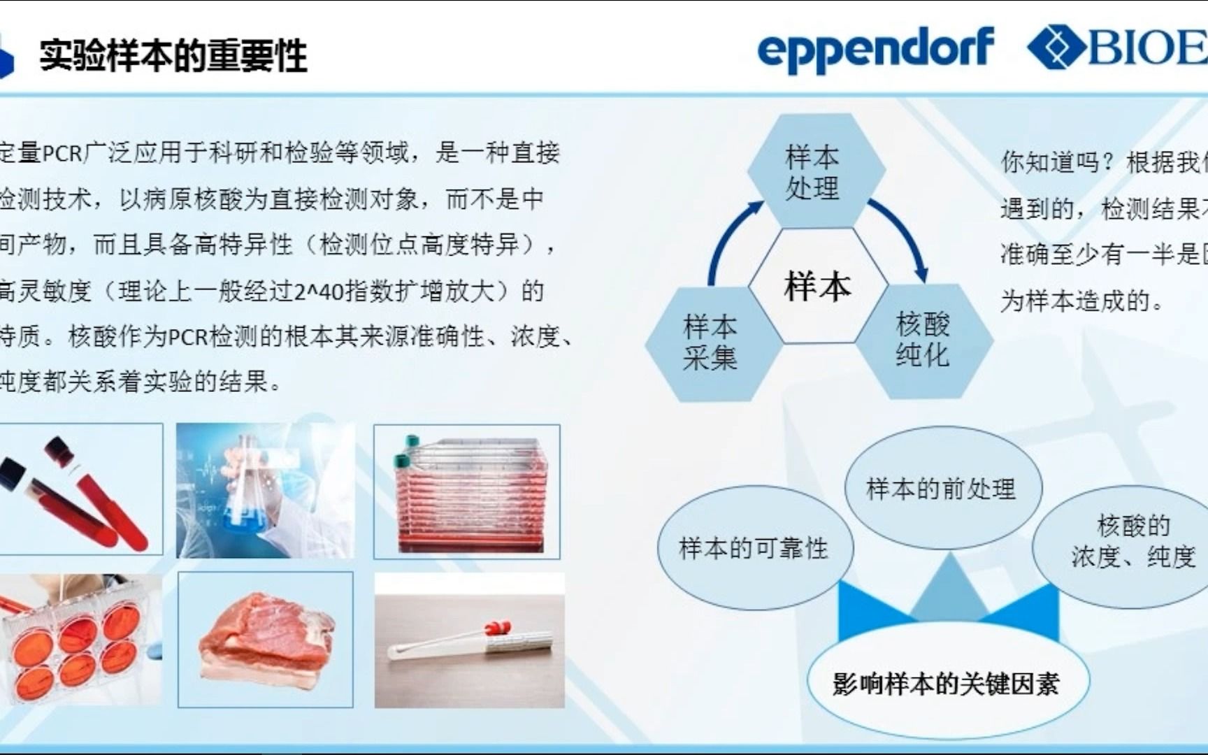 定量PCR病毒检测实验成功要诀