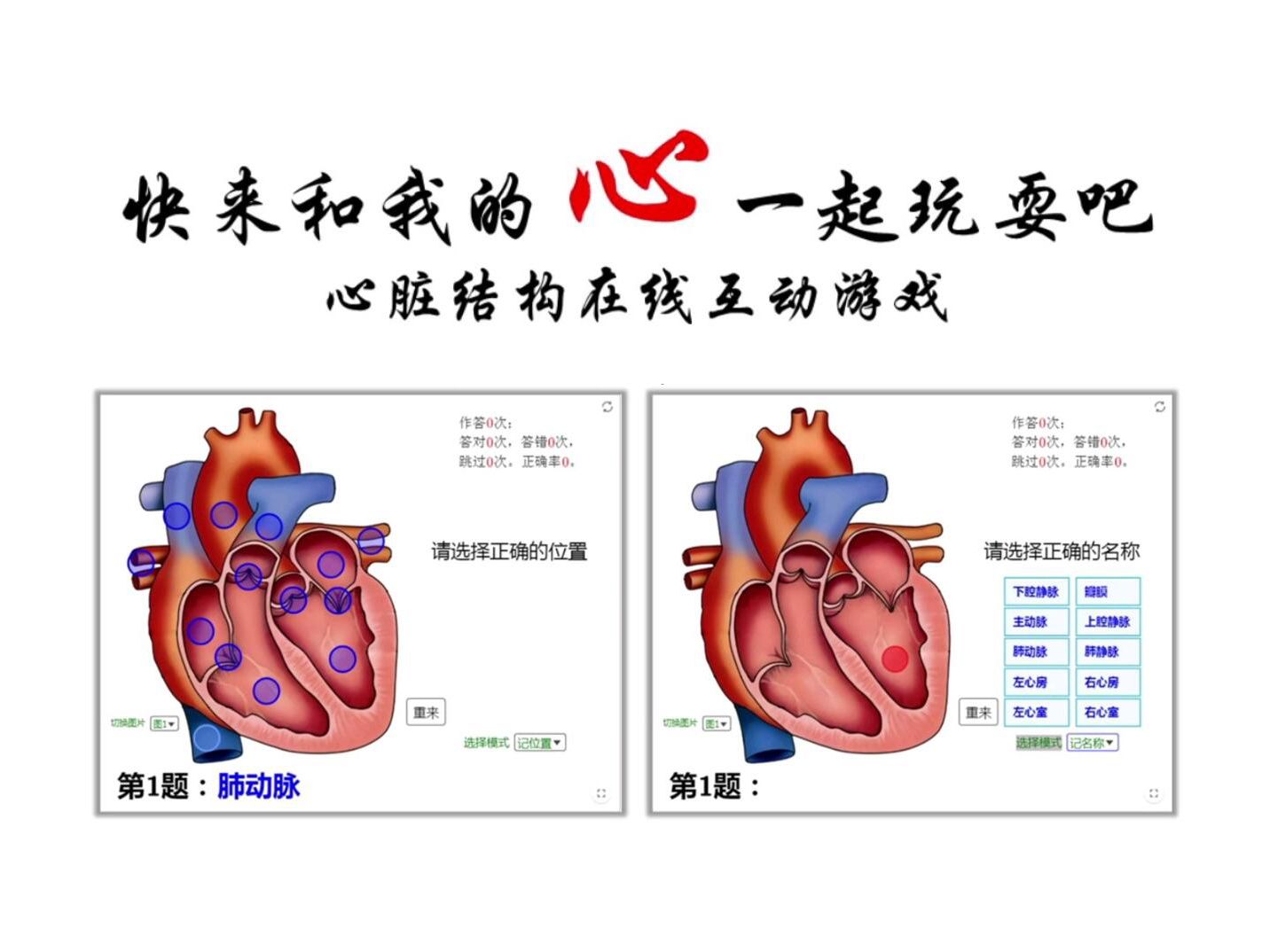 快来和我的心一起玩耍吧!多种模式GeoGebra在线游戏帮助你记住心脏...