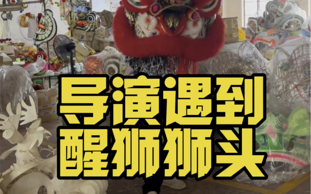 当导演遇到狮头,会让你很无语