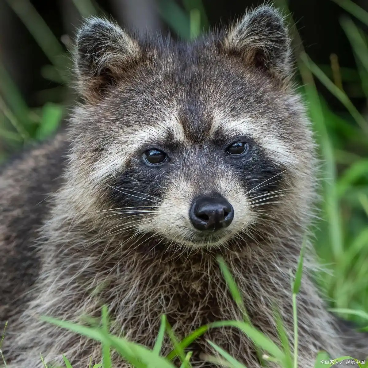 失控铁轨观光电梯 