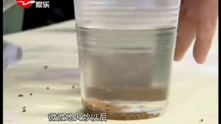 陈辰全民星 刘钊20131209 荞麦的功效