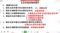 生物二轮复习8:专题11种群、群落和生态系统(第2课时)