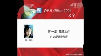 WPS Office 2005文字视频教程