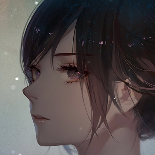 回来看看13 