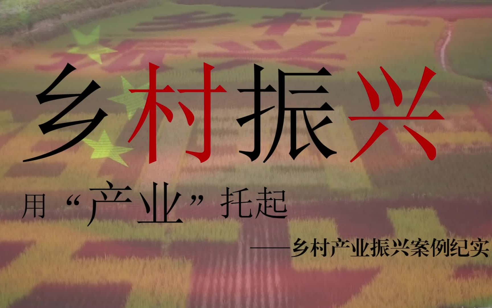 用产业托起乡村振兴:乡村产业振兴案例纪实