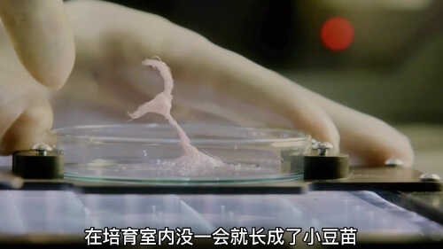 科学家唤醒了从未见过的火星生物,然而也使得他们进入危险之境