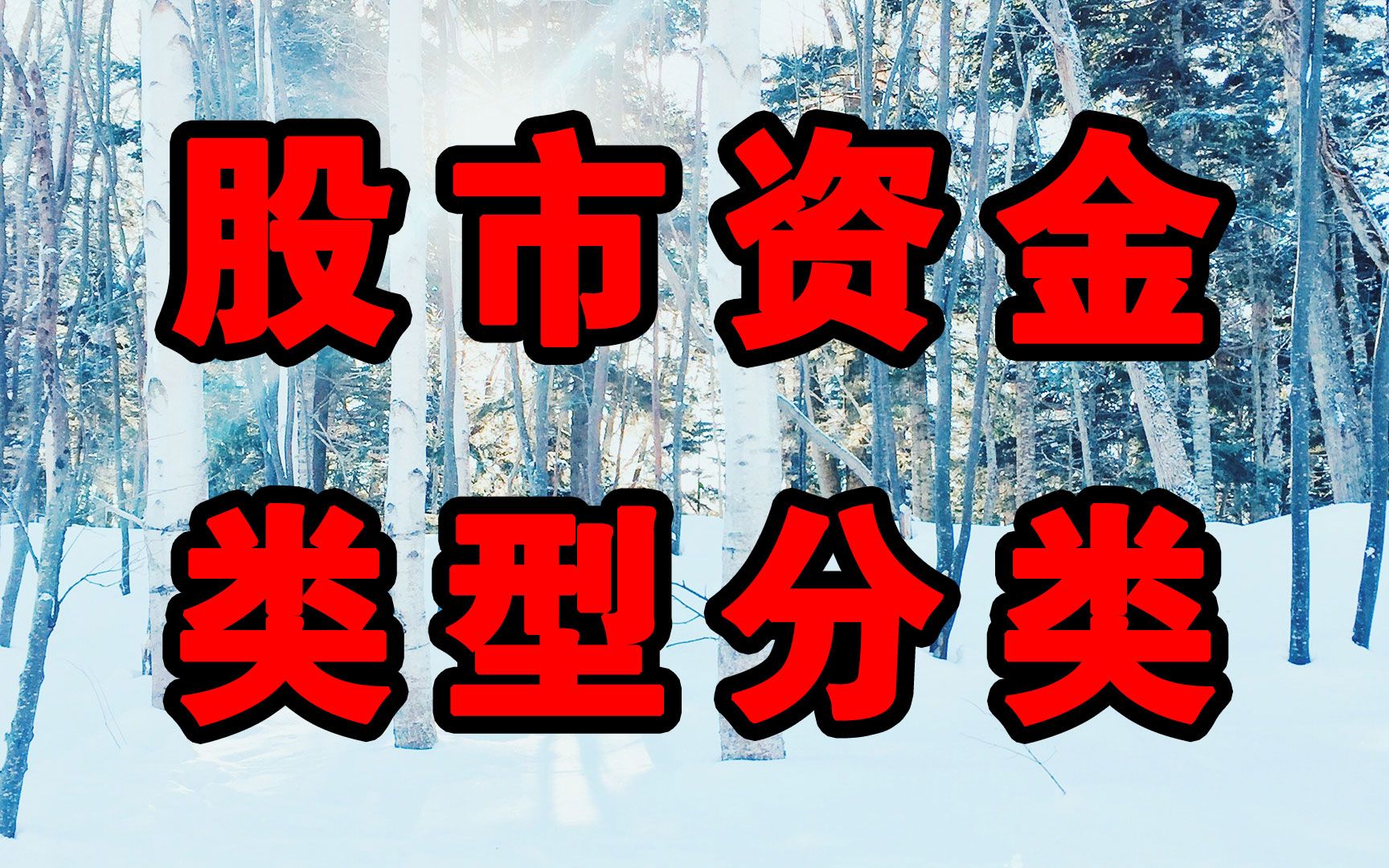 股市资金类型分类