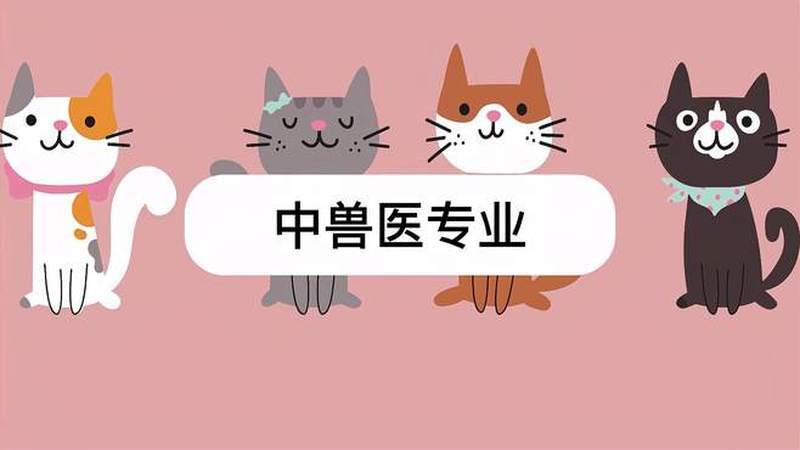 中兽医专业的介绍