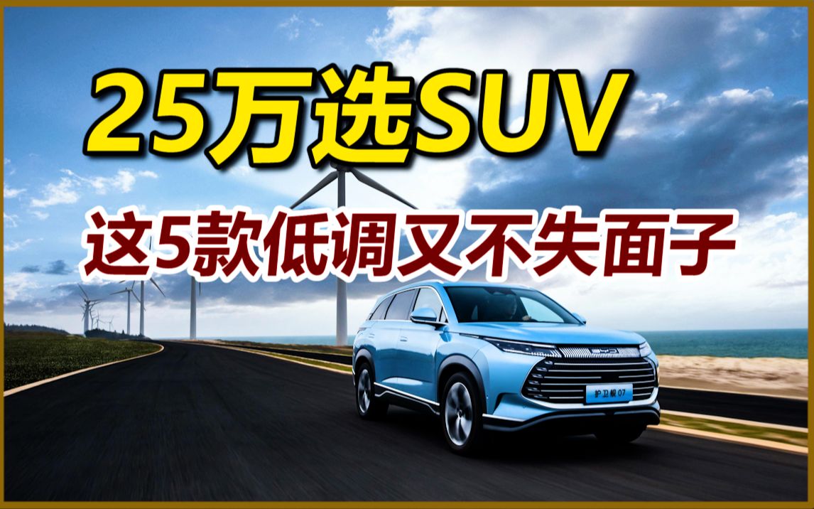 盘点25万左右,低调又不失面子的5款SUV