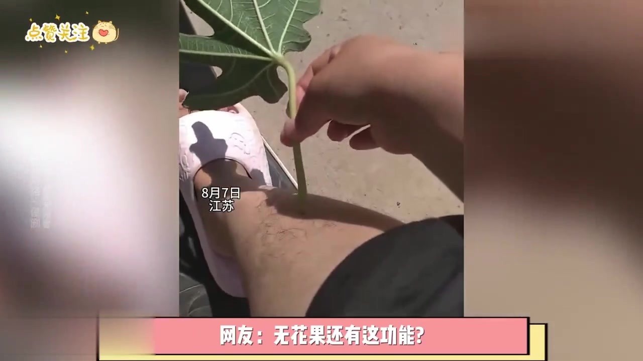 网友:无花果还有这功能