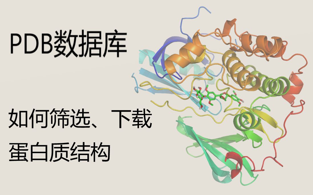 PDB数据库 如何筛选蛋白质 分子对接准备