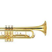 心血来潮的trumpet 