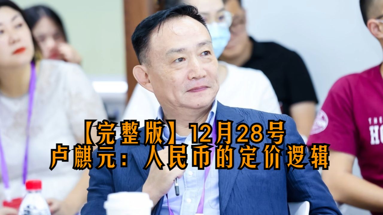 【完整版】12月28号卢麒元:人民币的定价逻辑