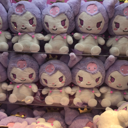 奇迹猫猫在哪里 