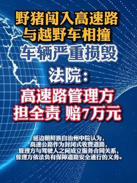 ...认定高速公路管理方未尽到安全保障义务,需向受损驾驶员赔偿各项...