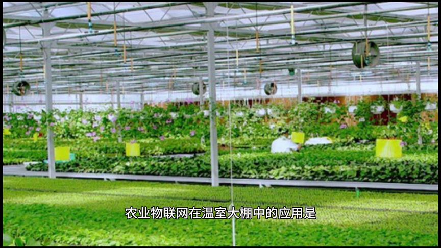 农业物联网在温室大棚中的应用是将大量的传感器节点构成监控网络