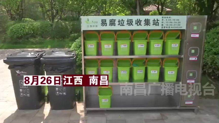 厨余垃圾往哪儿扔?简化分类戳这里!