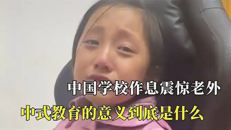 中式教育的意义是什么,中国学校震惊老外,爸爸撕掉女儿写的小说