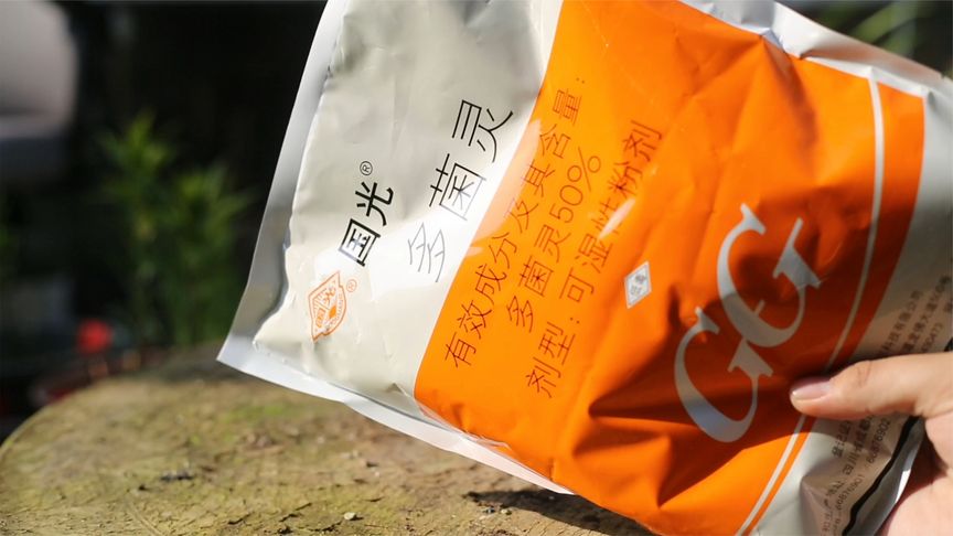 养花有病菌怎么办?园艺师教你,用多菌灵除菌,所有花卉都能用