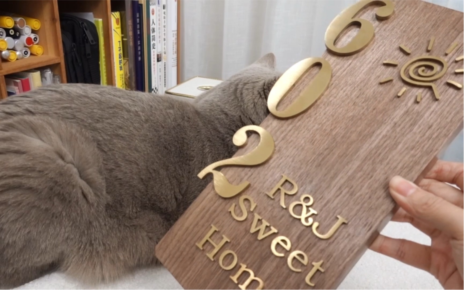 DIY手工门牌|低成本的仪式感马上就要过年啦ߧ�给家ߏ�换个新门牌