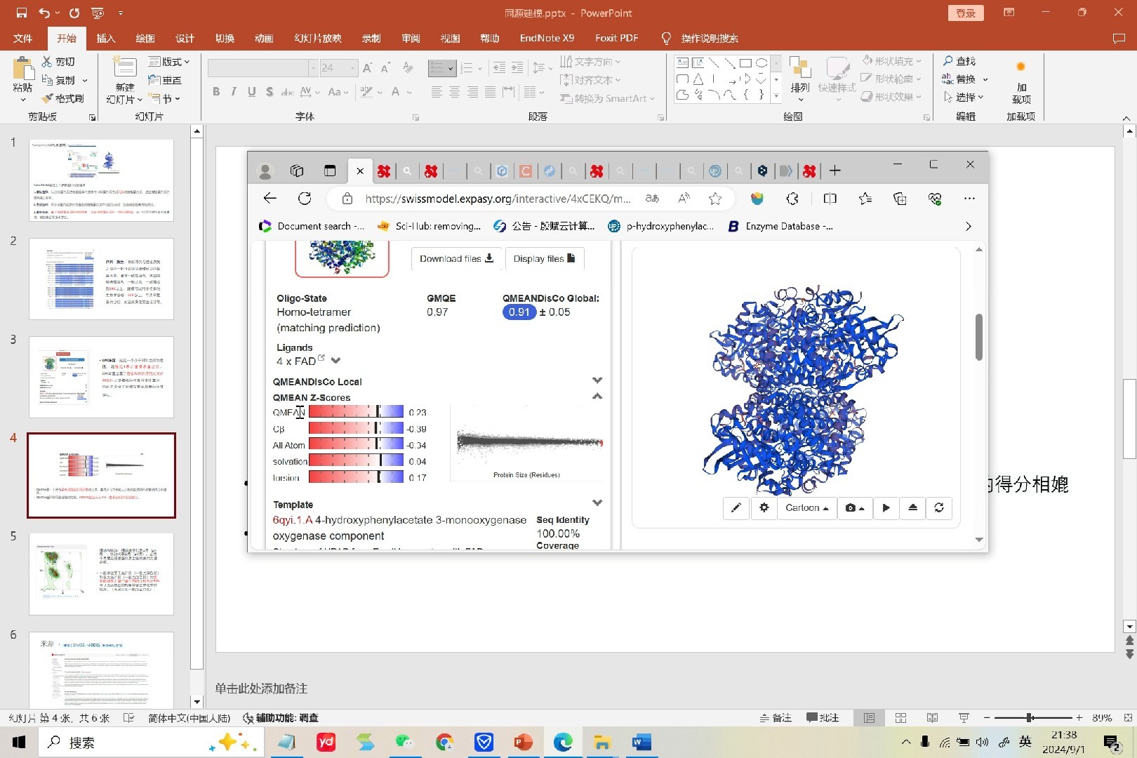 使用Swiss-Model进行同源建模