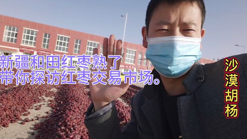 新疆和田的大红枣熟了,带你到市场探访各种各样的红枣