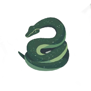 舒城俊珑 
