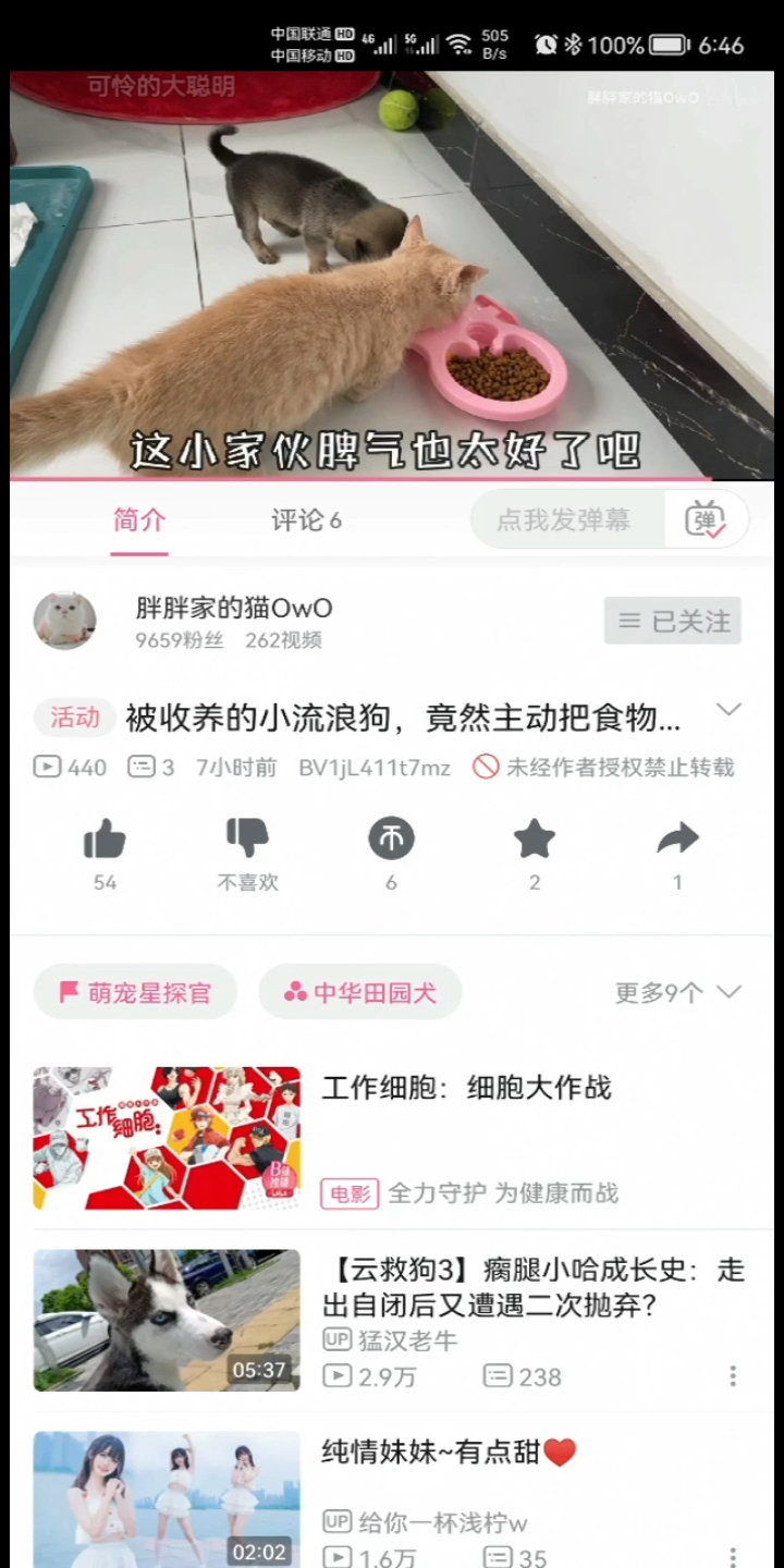 #用户反馈论坛#我都设置了自动播放然而这种我单独选出的视频还是会...