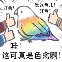 子小阝日 