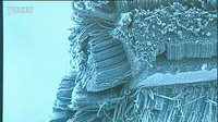 碳纳米管:Spinning Carbon Nanotubes
