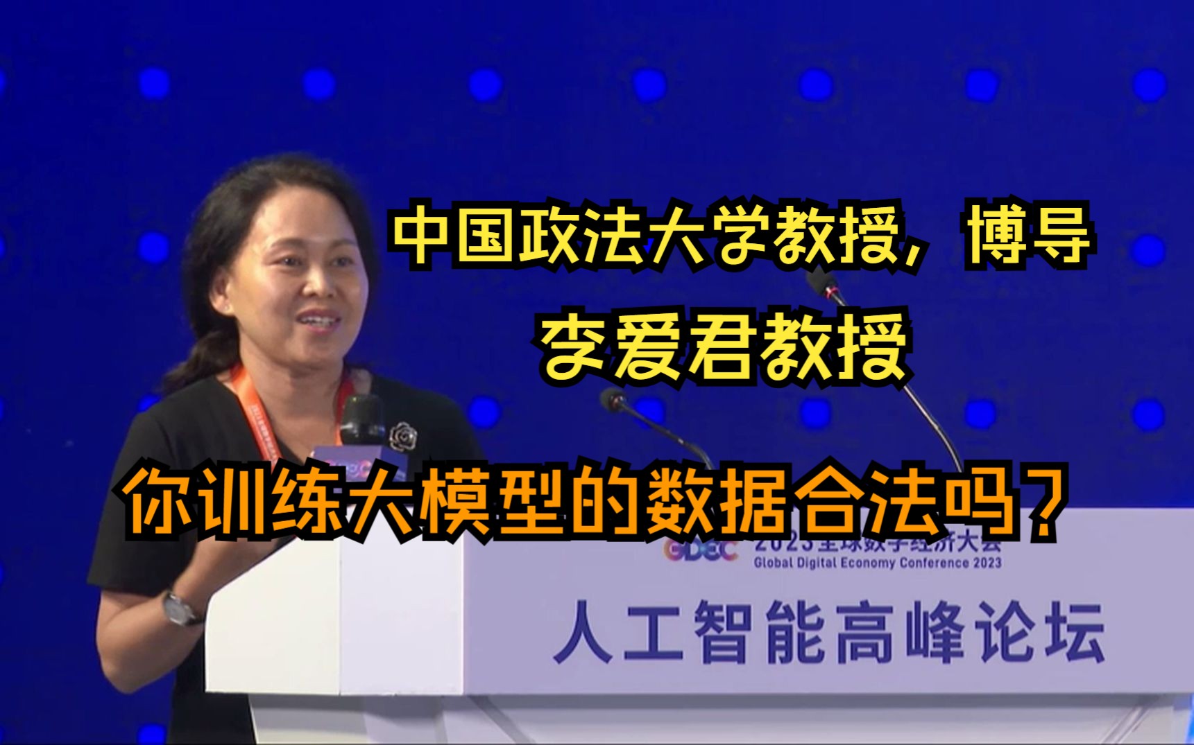 ...通用人工智能大模型训练数据使用法律分析(2023人工智能高峰论坛)