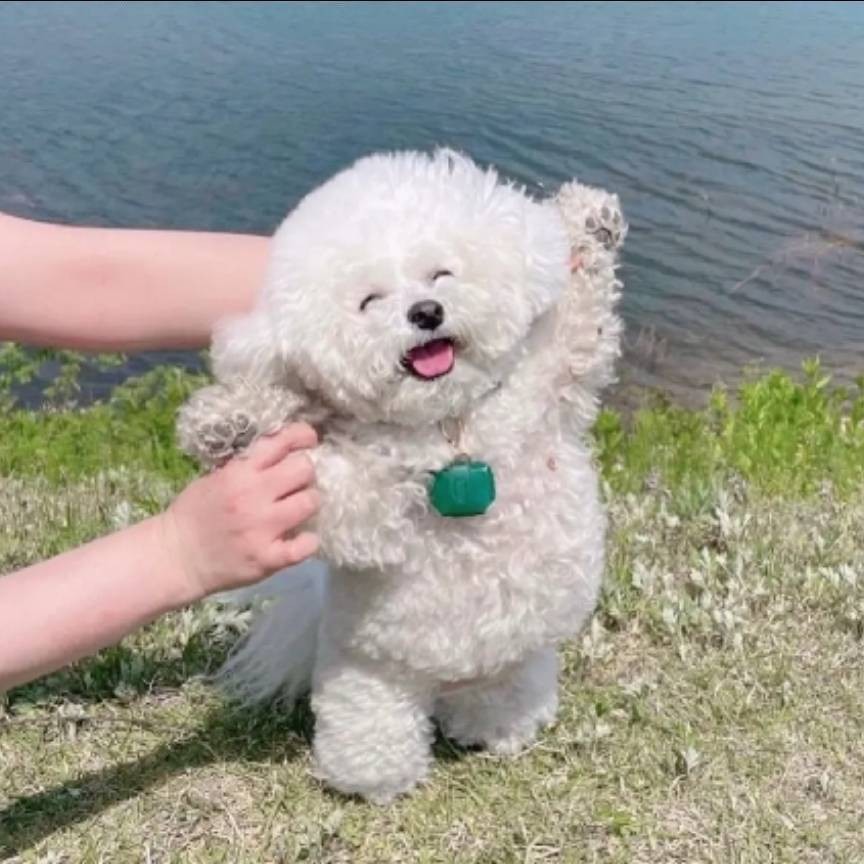 旺仔小馒头_kk 