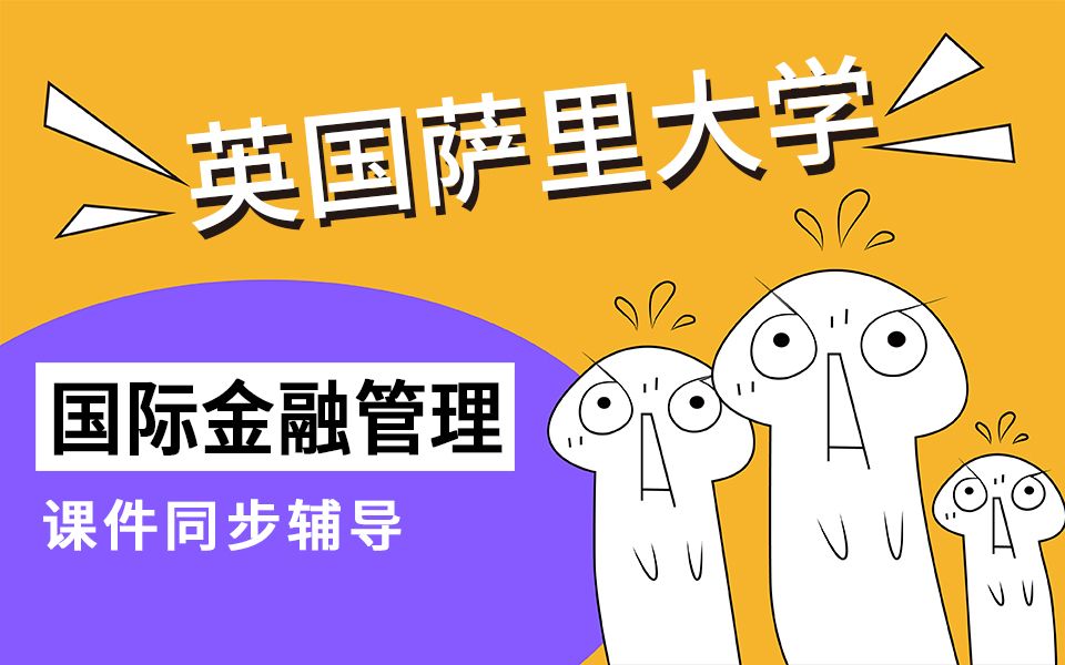 英国萨里大学国际金融管理硕士课程课件同步辅导