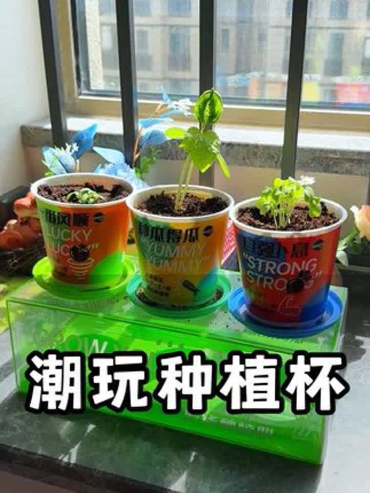 和孩子一起种菜吧!亲手播种,让孩子近距离观察植物生长过程,体验种植...