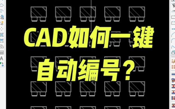 CAD中的一键编号