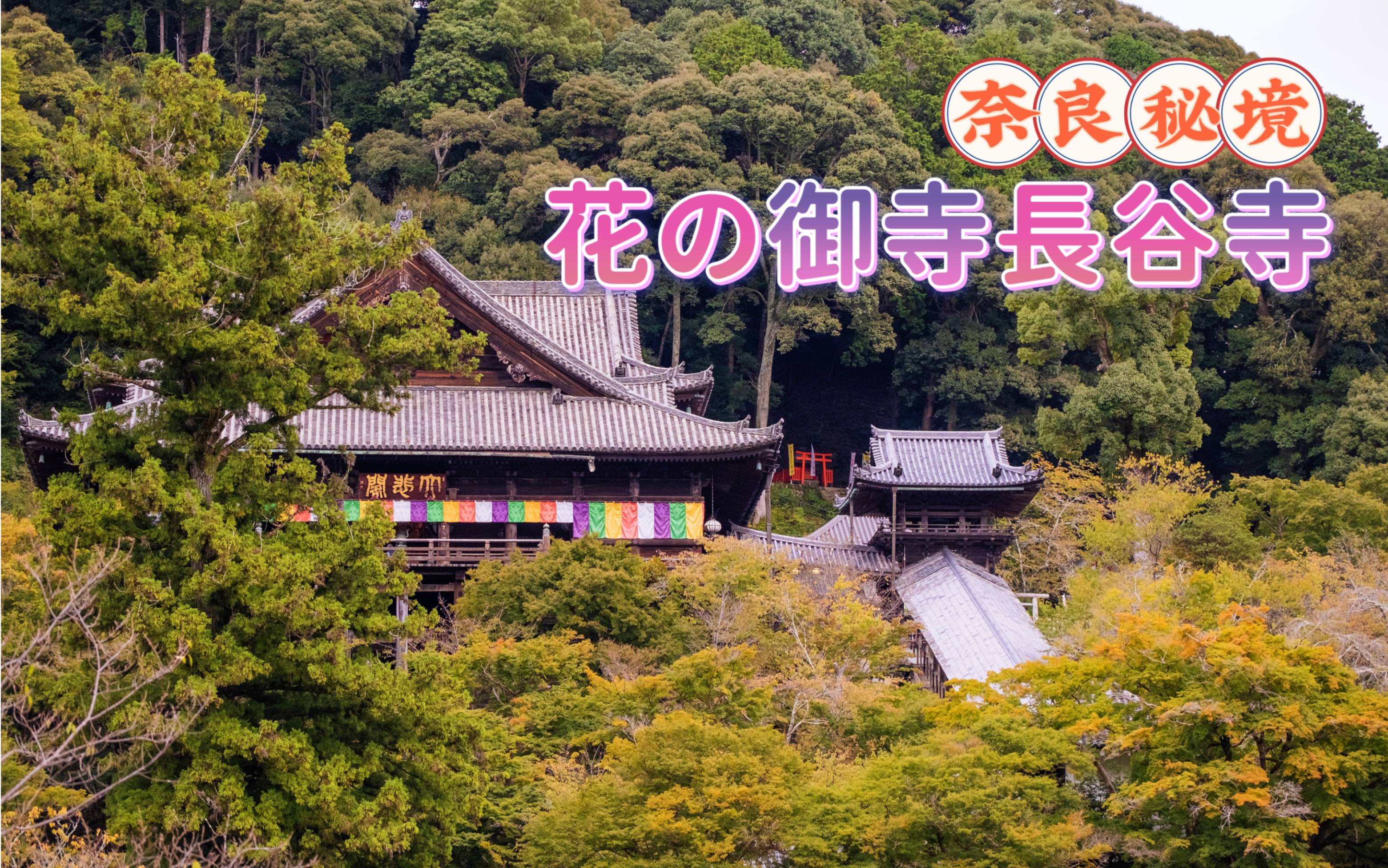 【奈良县长谷寺】日本自由行推荐景点|奈良秘境长谷寺|花之御寺长谷寺