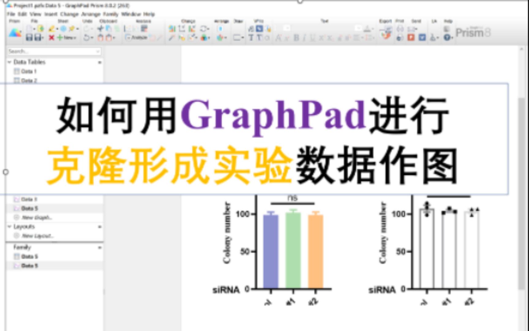 如何用GraphPad来进行克隆形成实验作图