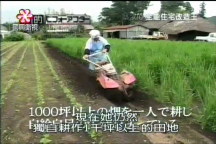 物件051-为茅草屋顶而烦恼的家(著名日本设计师室内建筑设计改造,...