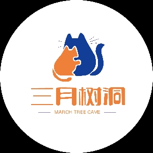 三月树洞 
