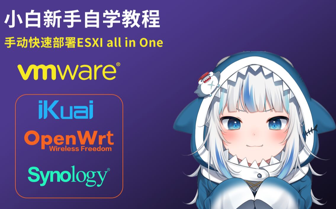 【小白自学教程】手动快速部署ESXI 爱快+OpenWrt+NAS