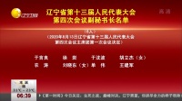 ...辽宁卫视 2020 辽宁省第十三届人民代表大会第四次会议副秘书长名单