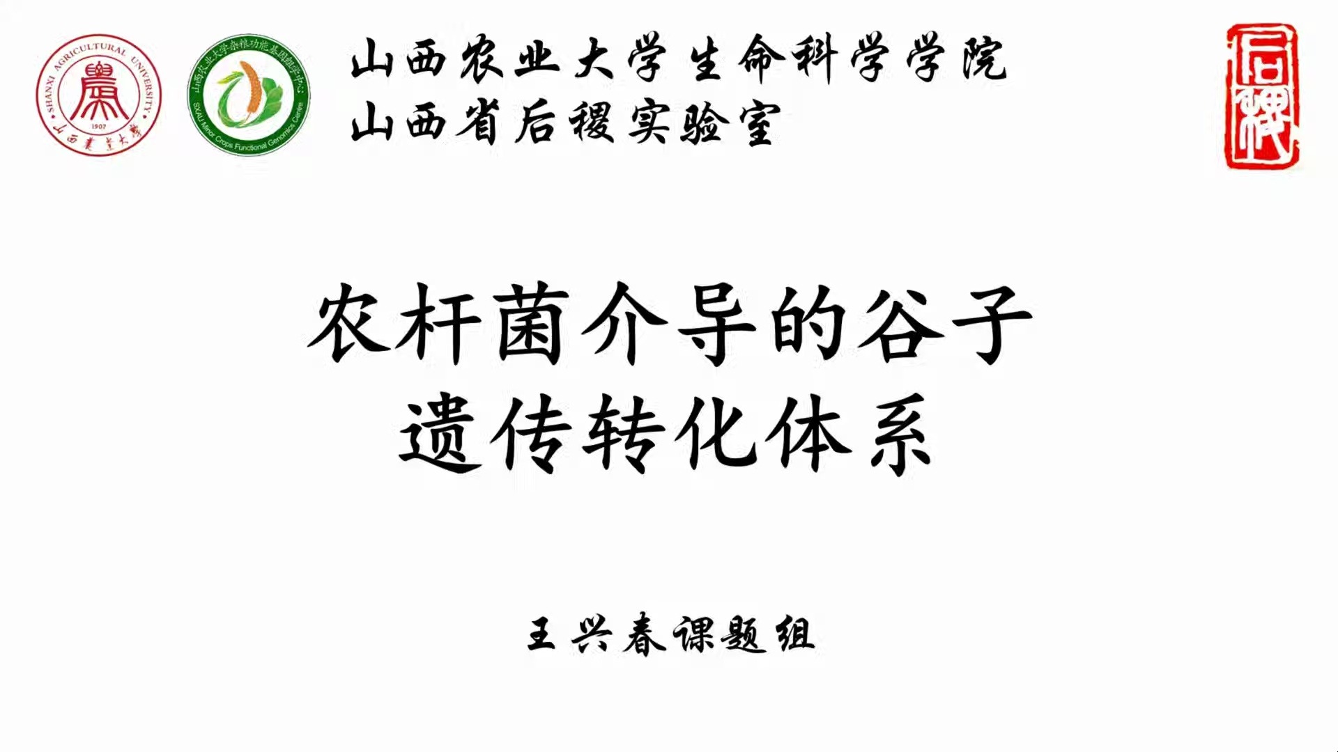 谷子遗传转化_王兴春实验室