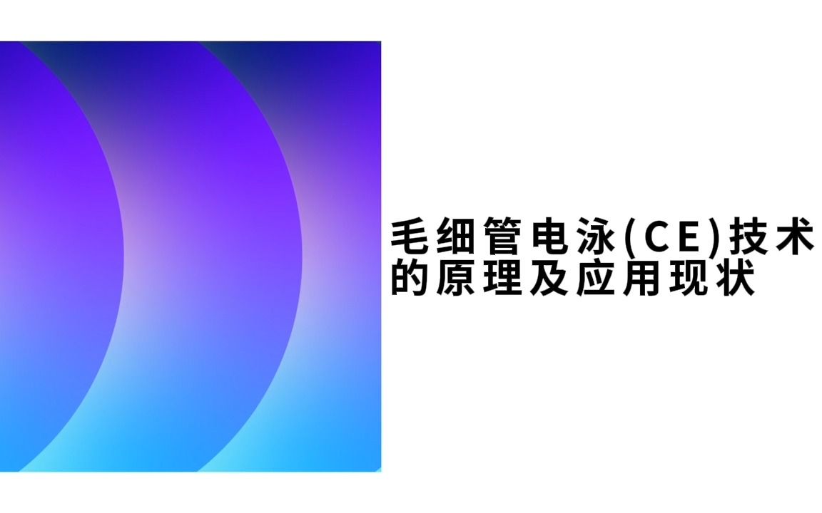 毛细管电泳(CE)技术的原理及应用现状
