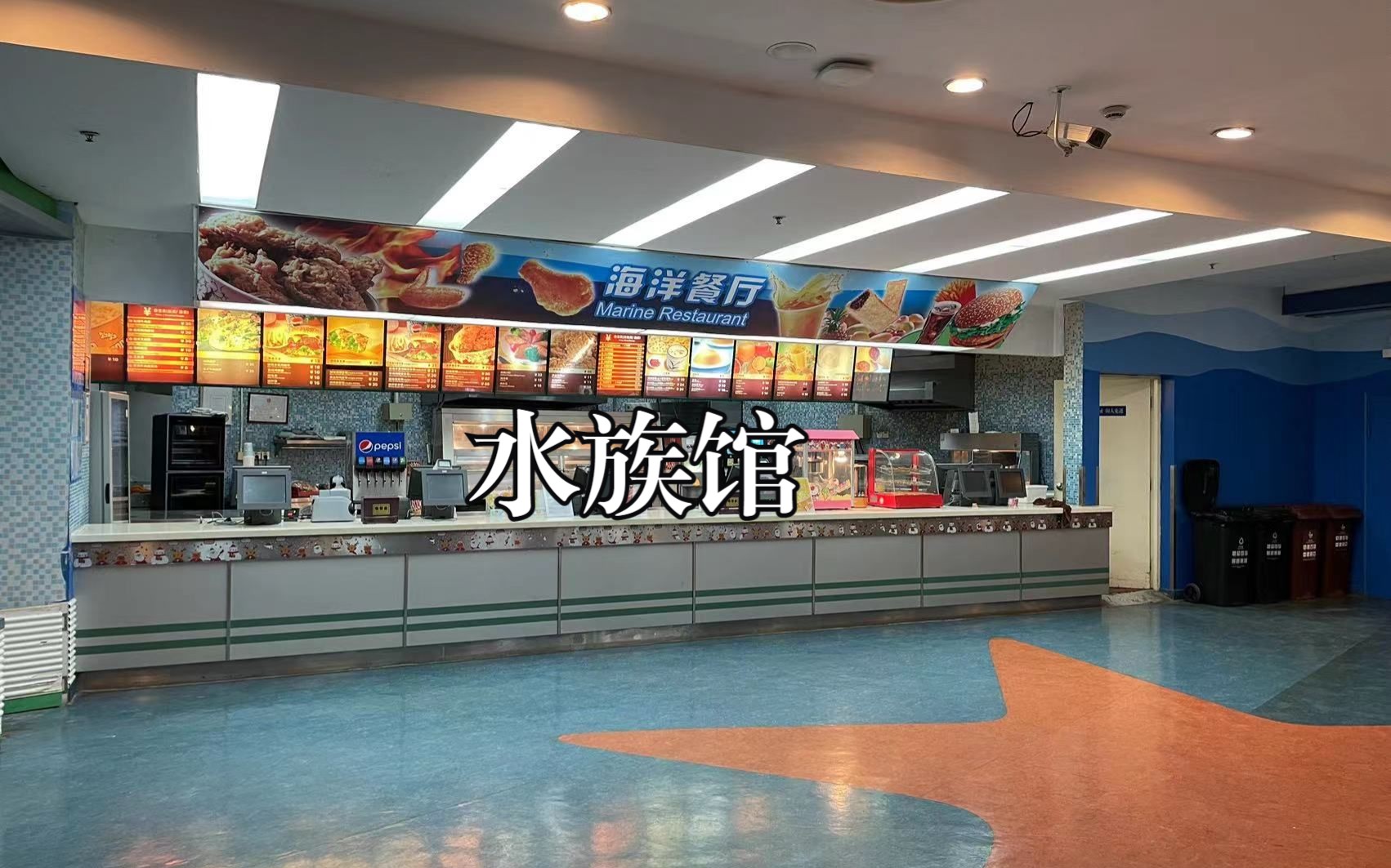 [怪核/梦核风|怀旧]千禧年相册中的水族馆