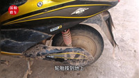 电动车加电门不会走了该怎么办?试下这方法,教你不花钱就能修好