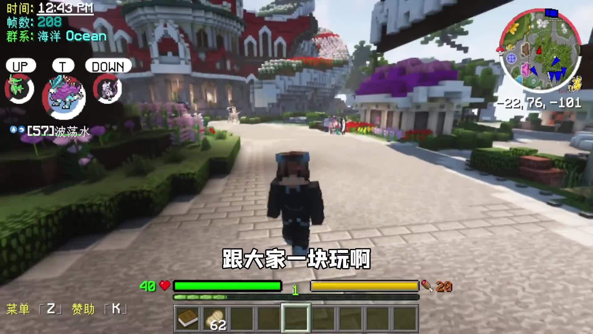 我的世界我的世界钻石宝可梦生存多人服务器