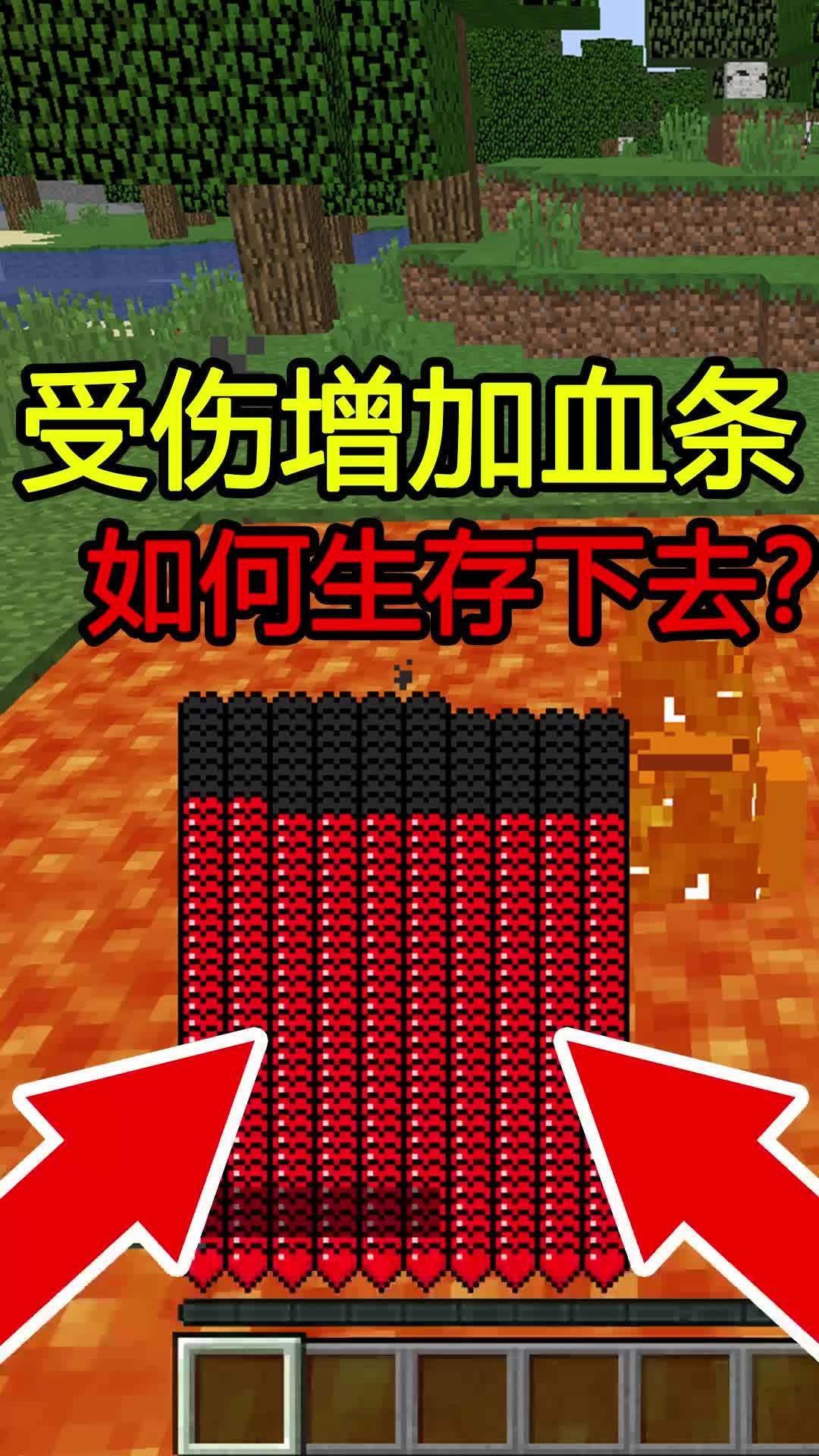 我的世界:受伤增加血条如何生存下去?我去!