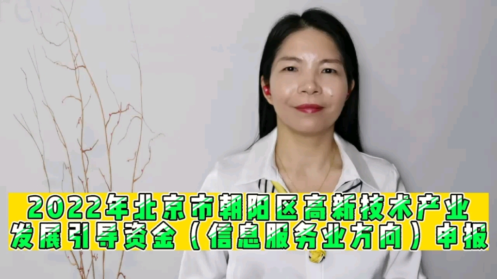 北京市朝阳区高新技术产业发展引导资金信息服务业方向申报